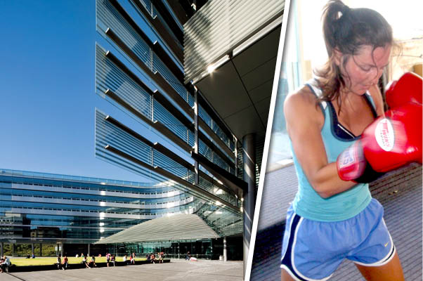 boxing-alley-student-enquiry-v2 | Boxing Alley